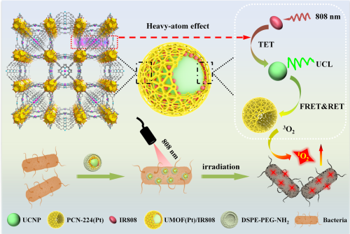 Xueyuan Chen’s Group